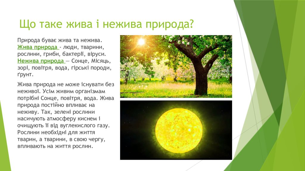 ЖИВА І НЕЖИВА ПРИРОДА НАВКОЛО НАС — презентация